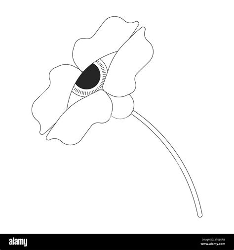 Eyeball Flower With Stem Black And White 2d Line Cartoon Object Stock