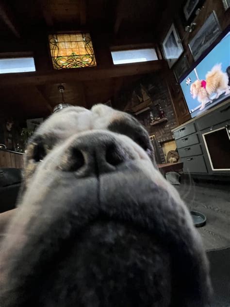 Boring Ol Mk18 R Airsoft