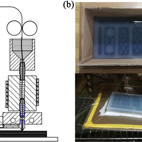 Specimen Preparation Process A Schematic Illustration Of The