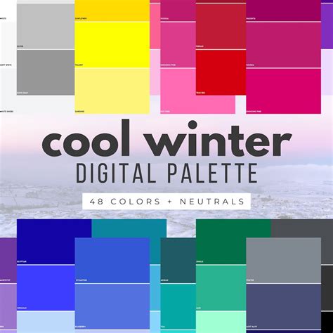 Cool Winter Color Palette Digital Swatch Fan 12 Seasons Color Analysis True Winter Winter