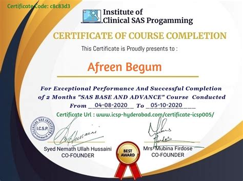 Certificate Icsp005 Institute Of Clinical Sas Programming