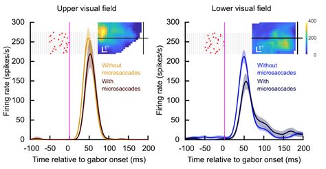 Peri Saccadic Visual Performance And Neural Sensitivity Are Higher In