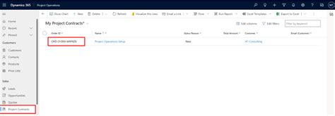 Record Auto Numbering In Dynamics 365 Crm Power Platform Puzzles