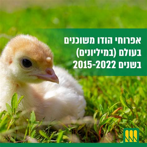 Agriculture Turkey Feedmill אמבר מכון לתערובת Ambar Feed Mill