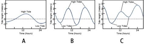 Solved Match The Tide Chart To The Appropriate Tidal