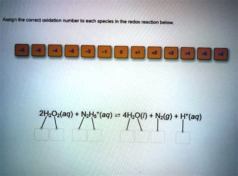 Solved Assign The Correct Oxidation Number To Each Species In The