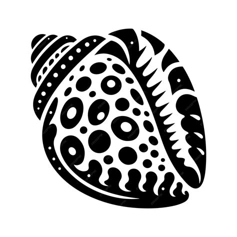 Unique Spotted Cowrie Shell Vector Illustration Highdpi For Quality