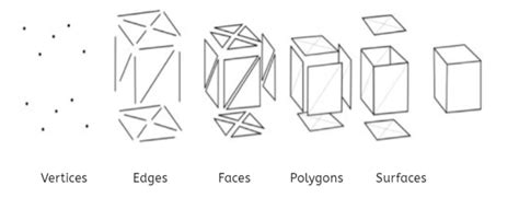3 An Illustration That Shows The Differences Between Vertices Edges