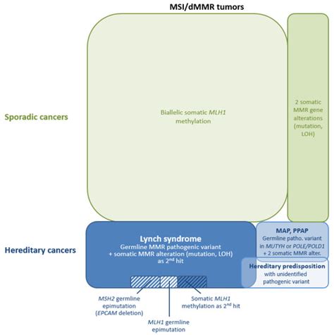 Cancers Special Issue Microsatellite Instability And Cancers
