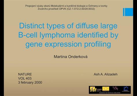 PDF Distinct Types Of Diffuse Large B Cell Lymphoma Identified B Cell Lymphoma