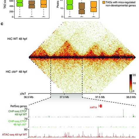 Clusters Of Cis Regulatory Elements Around Developmental Genes Lose