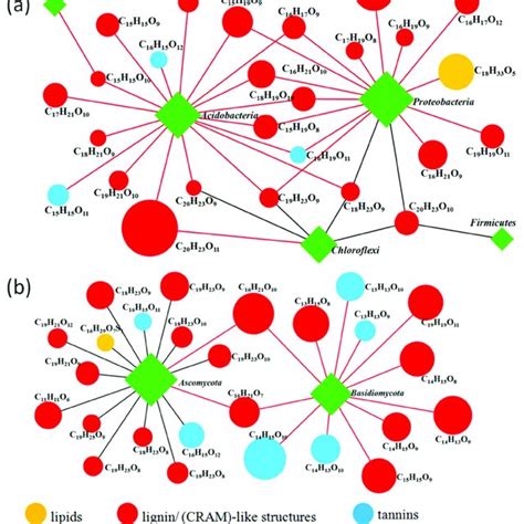 Interaction Network Analysis Of The Top 100 Most Abundant Bacterial
