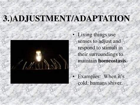 The Characteristics Of Life Ppt Download