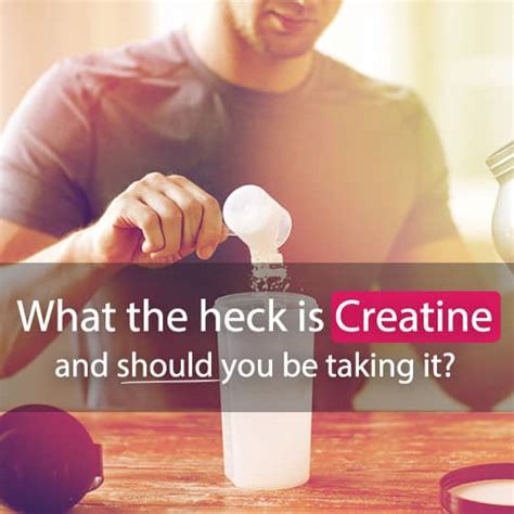 What The Heck Is Creatine And Should You Be Taking It