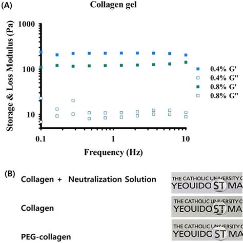 A Dynamic Moduli Of 04 And 08 4 Arm Polyethylene Glycol