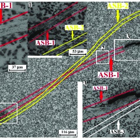 Tem Micrograph Of The Dislocation Structure Of The Mill Annealed