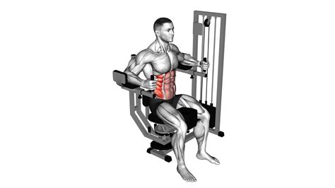 Lever Trunk Rotation Video Guide And Tips For Effective Exercise