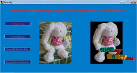 Robust Interactive Segmentation Using Convex Active Contours