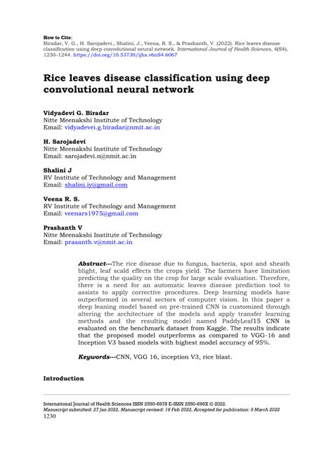 Pdf Rice Leaves Disease Classification Using Deep Convolutional Neural Network