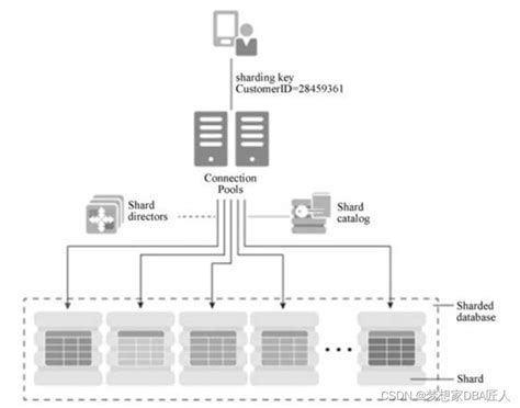 《收获，不止oracle》分片技术 oracle分片技术应用 csdn博客