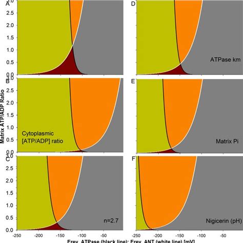 Pdf Why Cancer Cells Have A More Hyperpolarised Mitochondrial