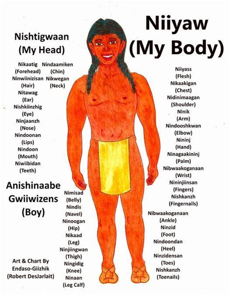 Pin By Edwardian On Ojibwe Native American Language Indigenous Education Aboriginal