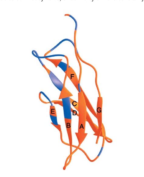 The Results Of The Chemical Shift Mapping Data Schwantner Et Al