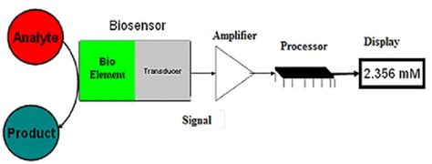 Mohammed Seridj On Linkedin Biosensor Smartwatch Medicaltechnology