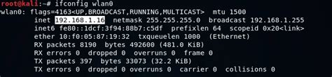 securing network from attacks ethical hacking
