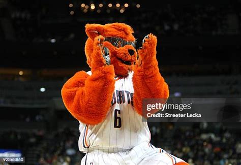 Rufus Charlotte Bobcats Mascot Photos And Premium High Res Pictures Getty Images