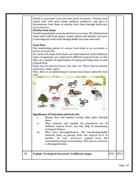 es assignment 2 pdf