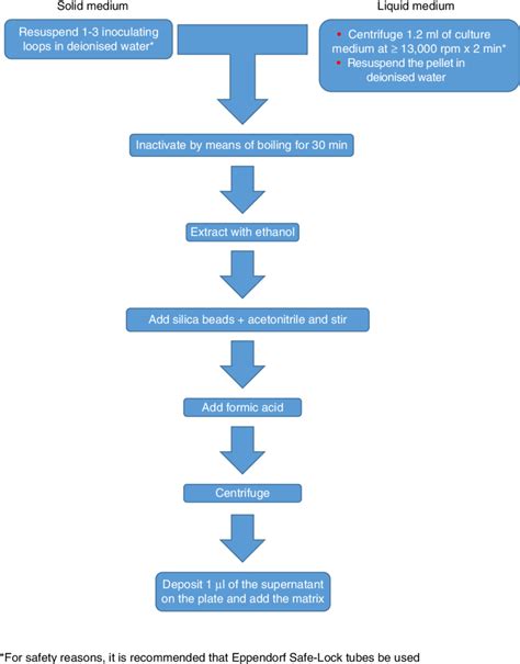 Processing Of Mycobacteria Recommended For The Maldi Biotyper System Download Scientific Diagram