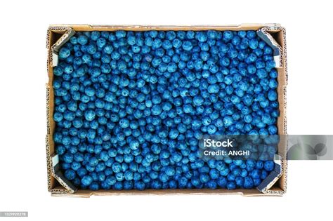 흰색 배경 상단 보기에 격리 된 판지 용기의 블루 베리 과일 블루베리 또는 백시늄 코람보섬 상자 블루베리에 대한 스톡 사진 및 기타 이미지 Istock