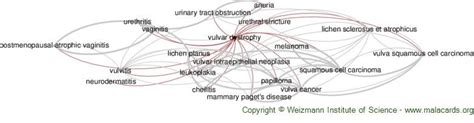 Vulvar Dystrophy Disease Malacards Research Articles Drugs Genes