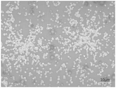 A Kind Of Preparation Method Of Core Shell Structure Bi Biobr Composite Material Eureka Patsnap