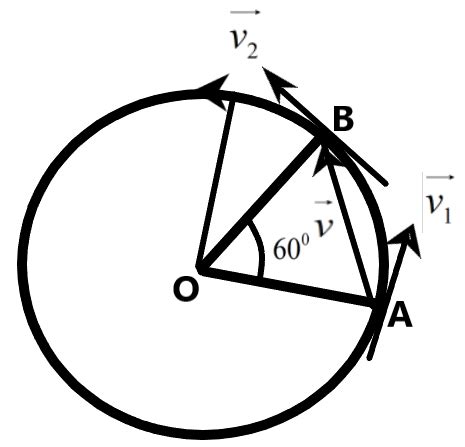 A Particle Is Moving Along A Circular Path With A Constant Speed Of M S What Is