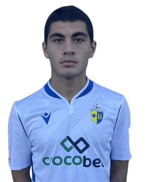 დავით გოგიჩაიშვილი ეროვნული ლიგა