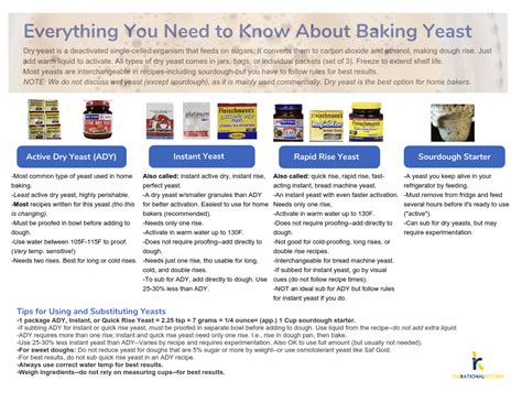 Types Of Yeast And How To Use Them Infographic