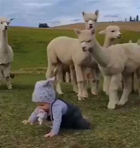 Sehrish Waheed Posted On Linkedin