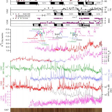 B Overview Of Bio And Magnetostratigraphic Data Xrf Core Scanning Fe Download Scientific