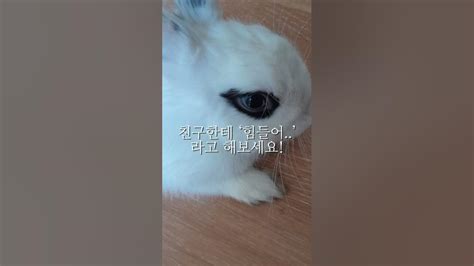 친구한테 힘들어 라고 해보세요 친구의 답변은 Youtube