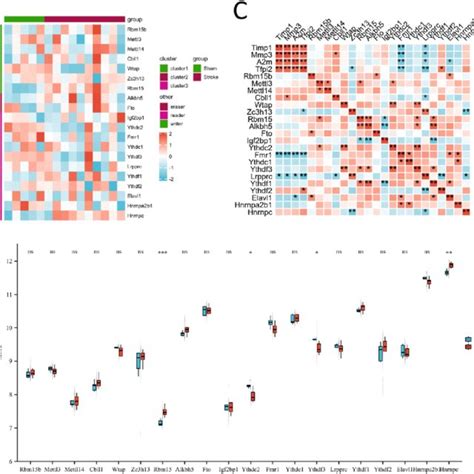 correlation analysis between the differentially expressed mmp related