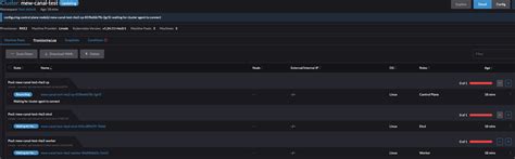 Bug Rke2 V124 Downstream Cluster Is Unable To Successfully Provision