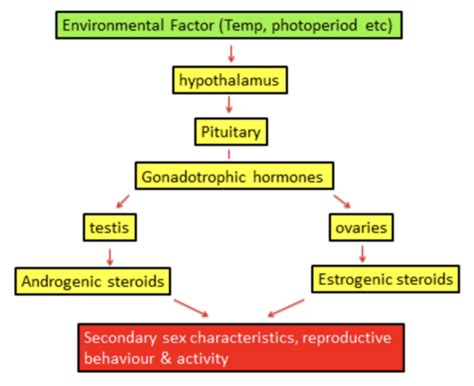 Biol 316 Midterm Flashcards Quizlet