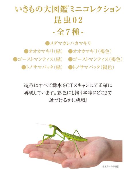 いきもの大図鑑ミニコレクション 昆虫02｜いきもの大図鑑｜ガシャポンオフィシャルサイト
