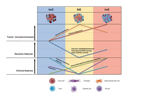 Identification Of Gastric Cancer Subtypes Based On Pathway Clustering Research Communities By