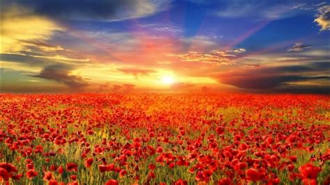 ეძღვნება ანა ომიაძის ხსოვნას Youtube