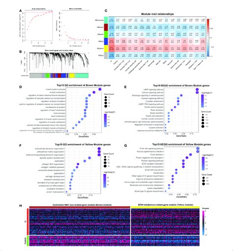 Functional Gene Co Expression Modules Are Recognized By Wgcna A