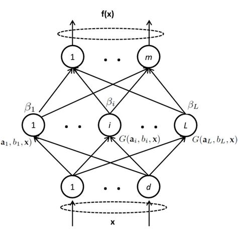 Single Hidden Layer Feed Forward Network Download Scientific Diagram