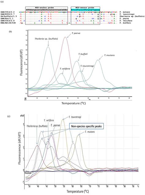 Sequence Alignment And Melting Curve Analysis Of The Plasmid Controls Download Scientific